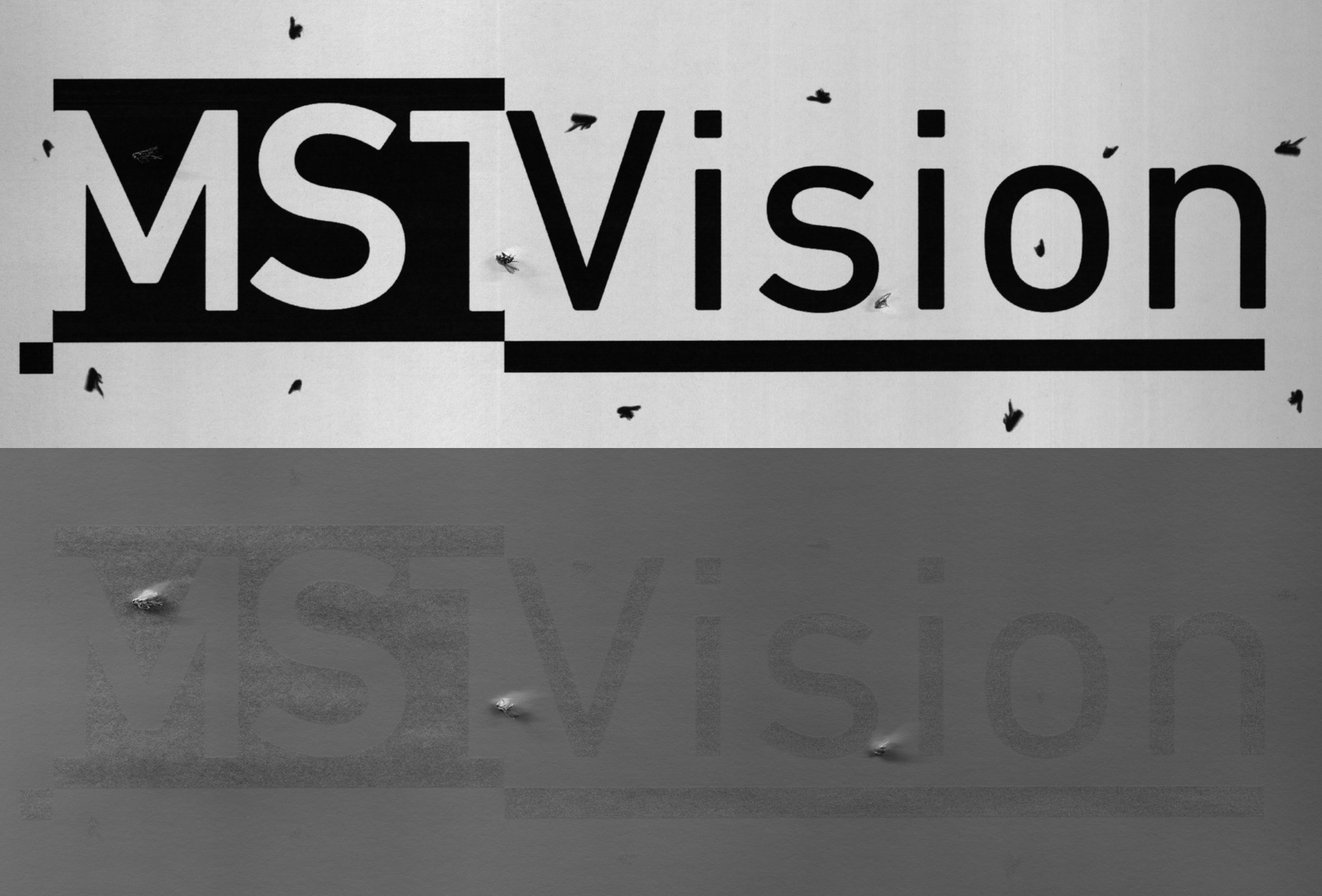 Photometric Stereo Line Scan Solution – MSTVision GmbH | Ihr Experte ...